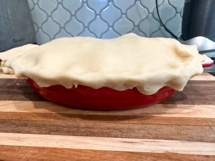 Southern Chicken Pot Pie - Back To My Southern Roots