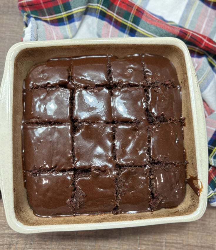 Old Fashioned Chocolate Mayonnaise Cake Recipe - Back To My Southern Roots