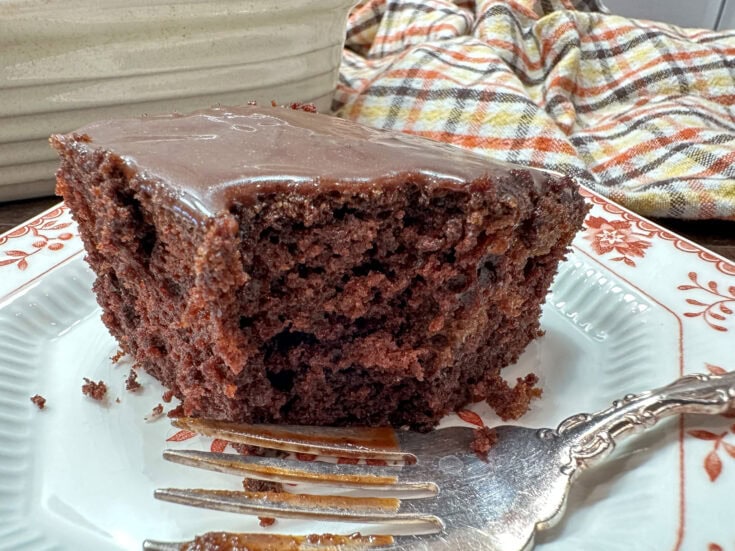 Old Fashioned Chocolate Mayonnaise Cake Recipe - Back To My Southern Roots