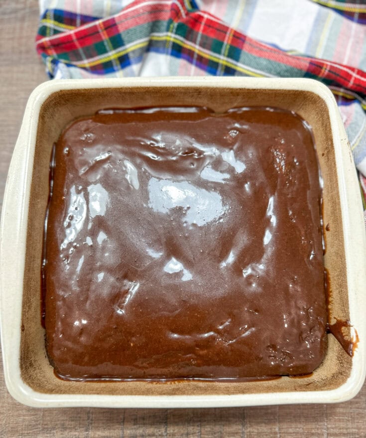 Old Fashioned Chocolate Mayonnaise Cake Recipe - Back To My Southern Roots