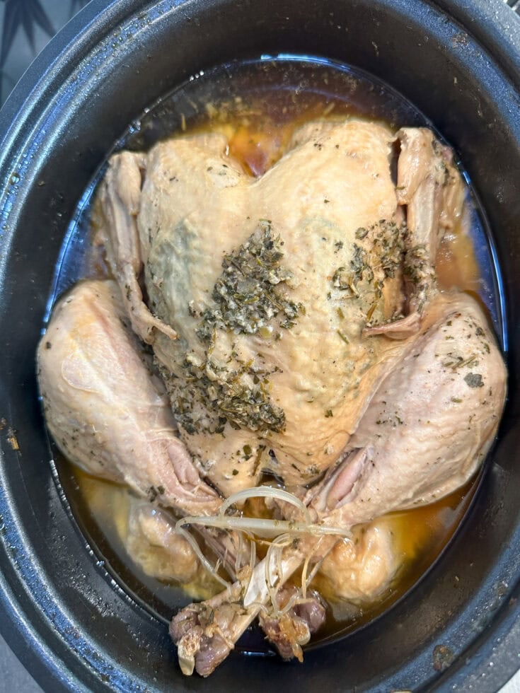 Easy Crock Pot Thanksgiving Whole Turkey Recipe - Back To My Southern Roots