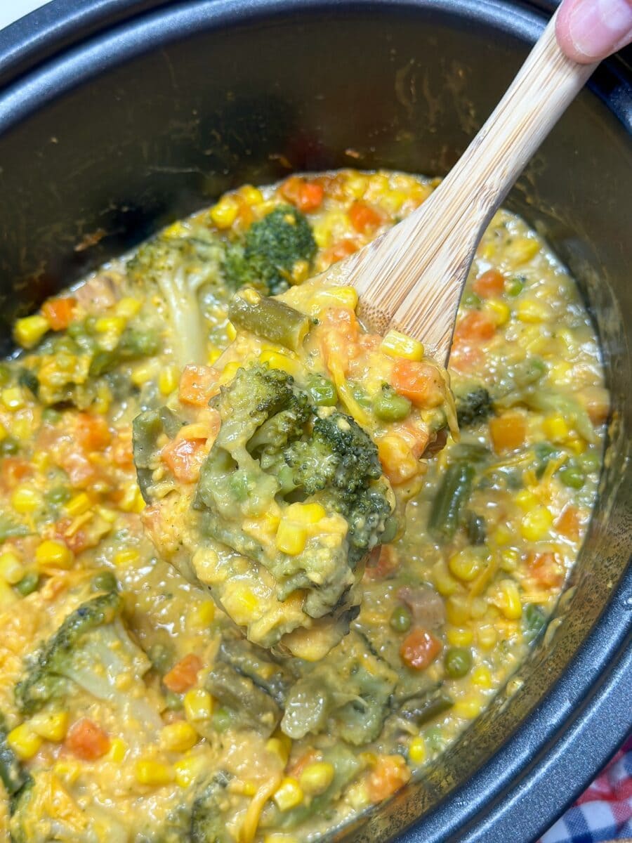 Slow Cooker Vegetable Casserole - Back To My Southern Roots