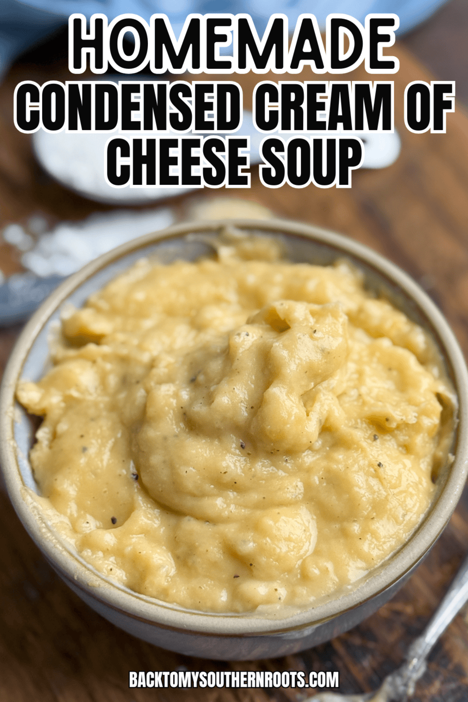 Homemade Condensed Cream of Cheddar Cheese Soup - Back To My Southern Roots