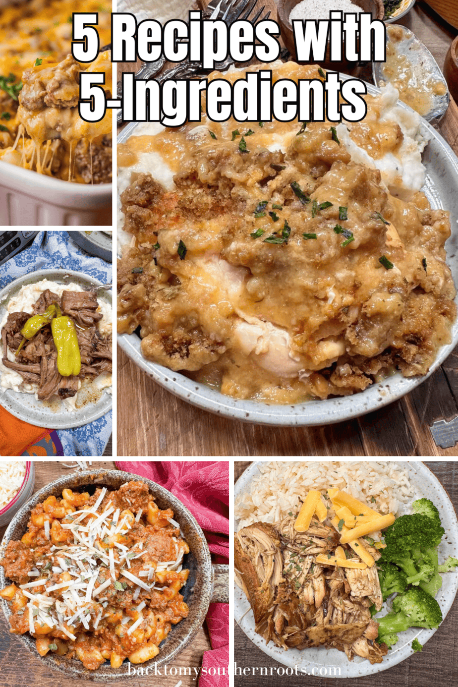 5 Easy Dinner Recipes with Only 5 Ingredients - Back To My Southern Roots