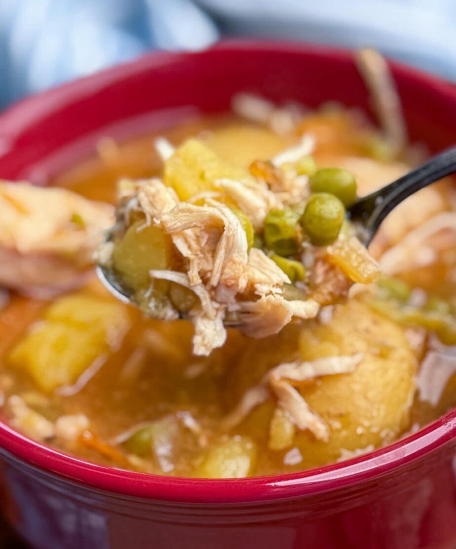 Slow Cooker Chicken Stew Recipe - Back To My Southern Roots
